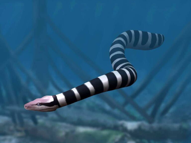 10 Prehistoric Snakes Of the Deep Past - Snake Radar